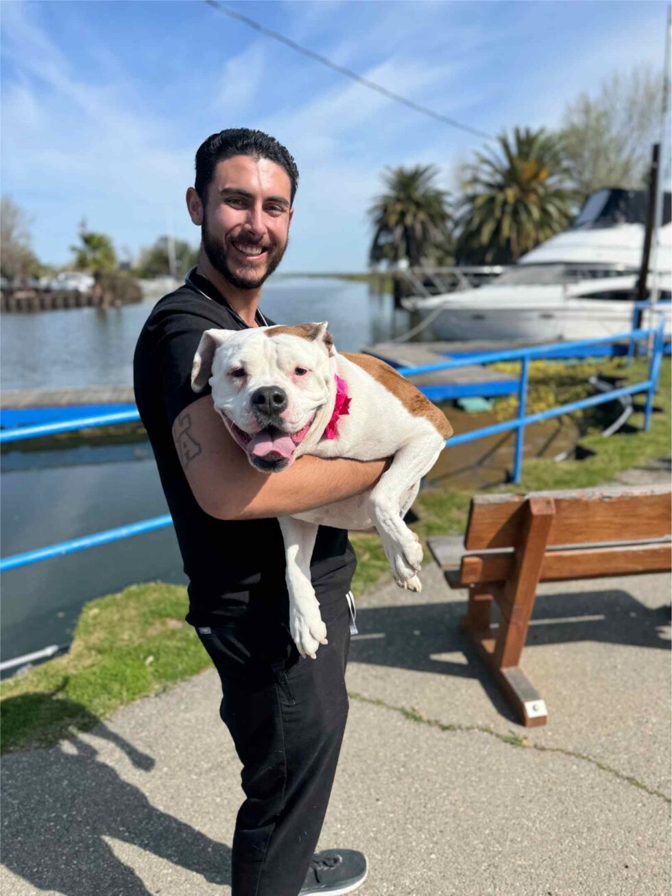 Veterinarians In Oakley, CA | Ojala Family Pet Care