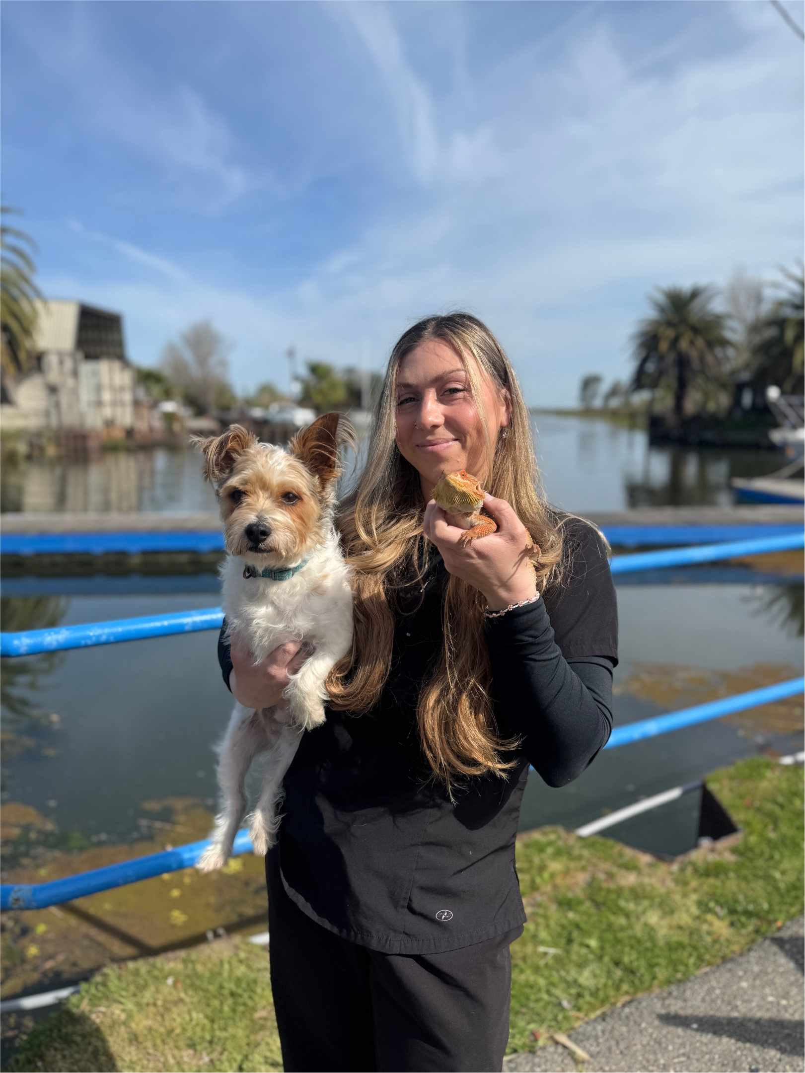 Veterinarians In Oakley, CA | Ojala Family Pet Care